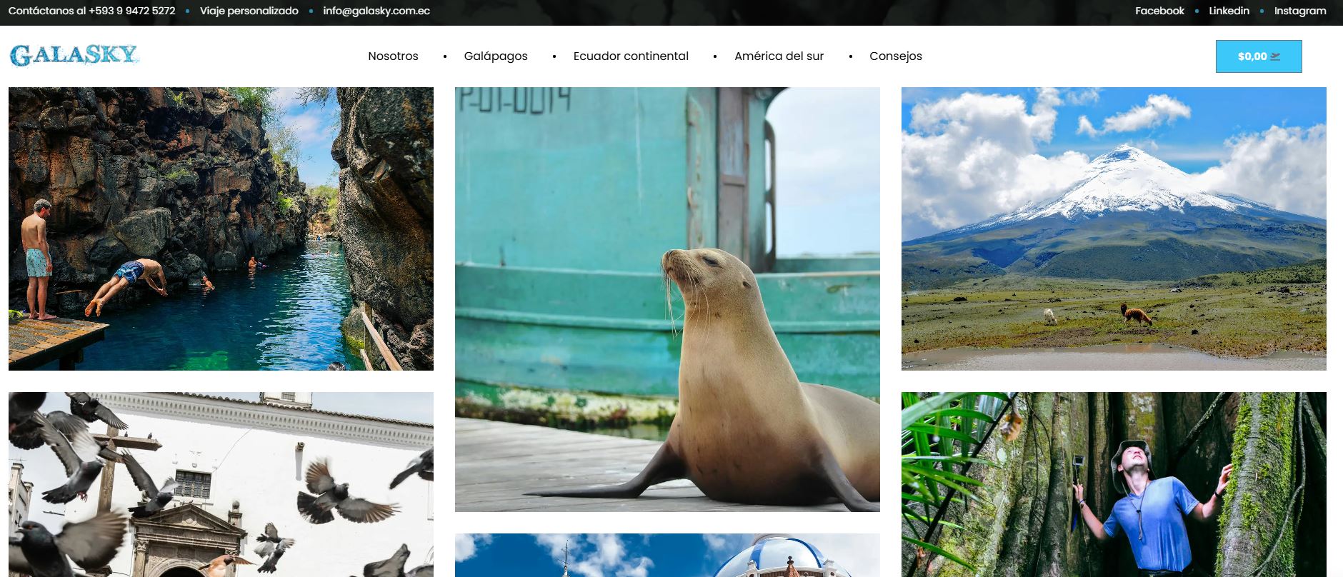 Servicios complementarios | Galasky